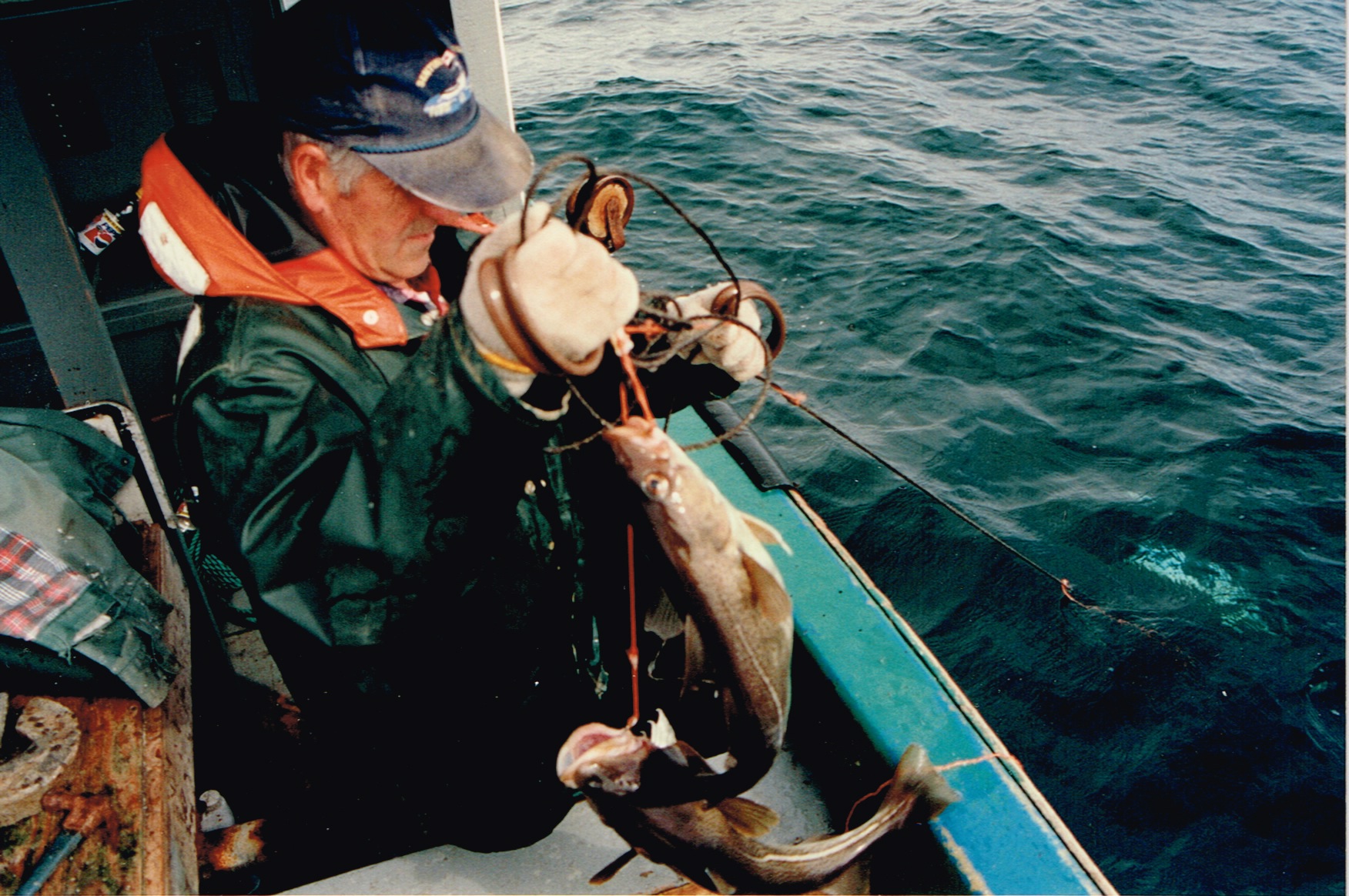 Documented History of the 115,000mt Commitment of Northern Cod to NL ...